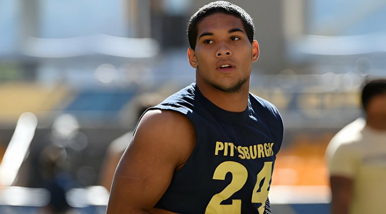 James Conner Parents, Age, Height, Wife, Ethnicity, Net Worth - As Mom ...