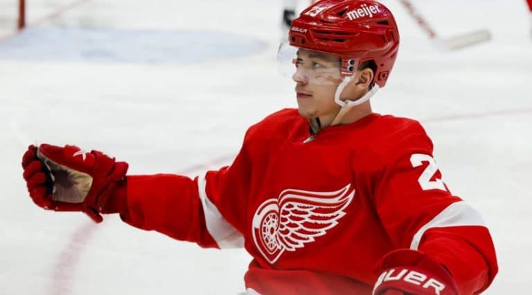 Lucas Raymond Parents, Age, Height, Family, Brother, Ethnicity, Net ...